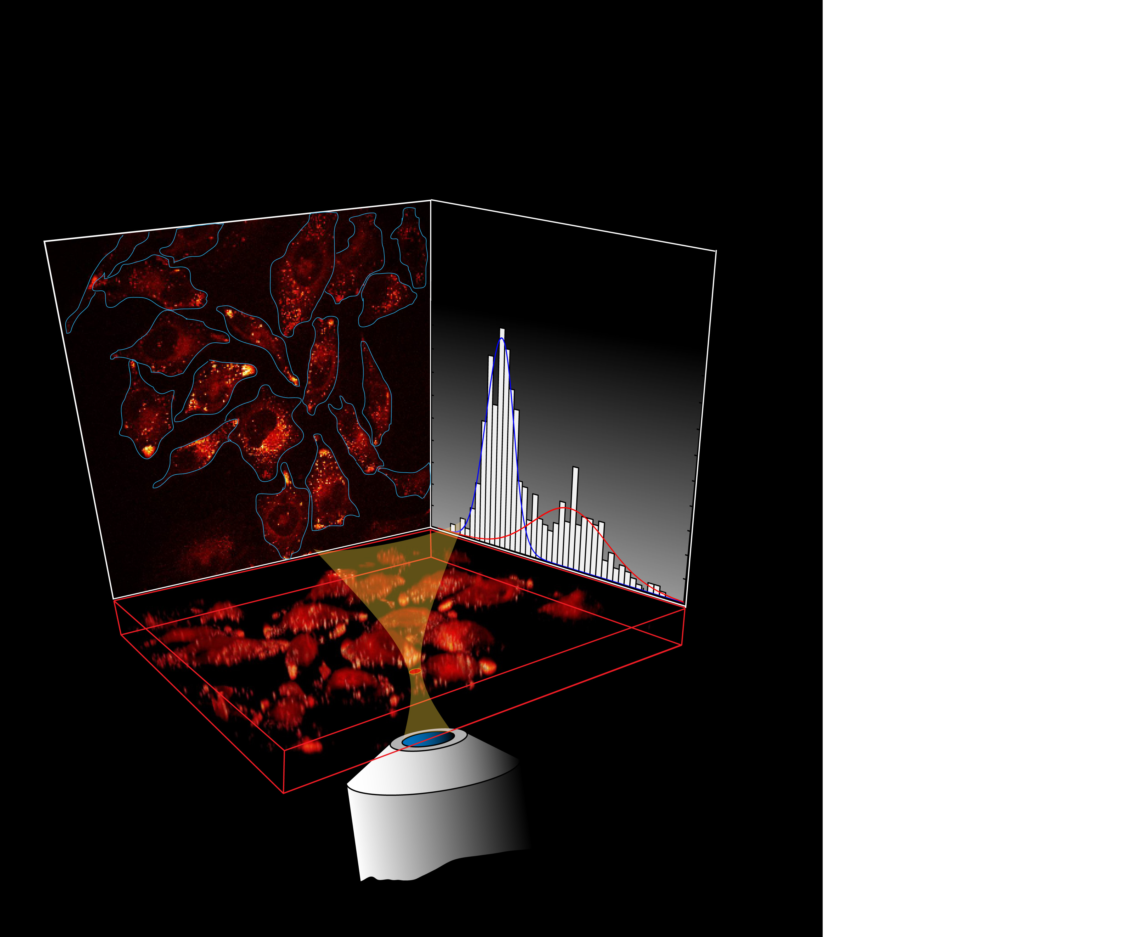 北京大学生命科学学院