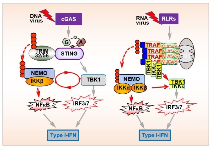 北京大学生命科学学院